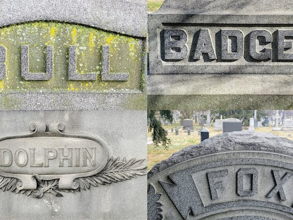 Surnames in Stone: A Glossary of Green-Wood - Green-Wood