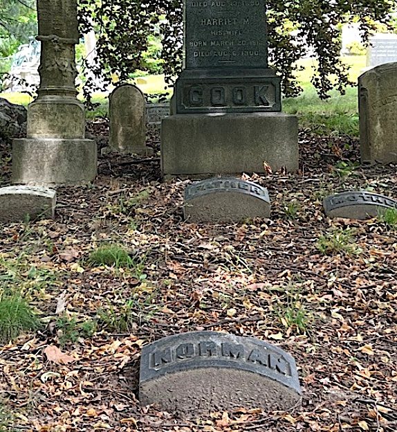 Civil War Biographies: Cook-Corrigan - Green-Wood